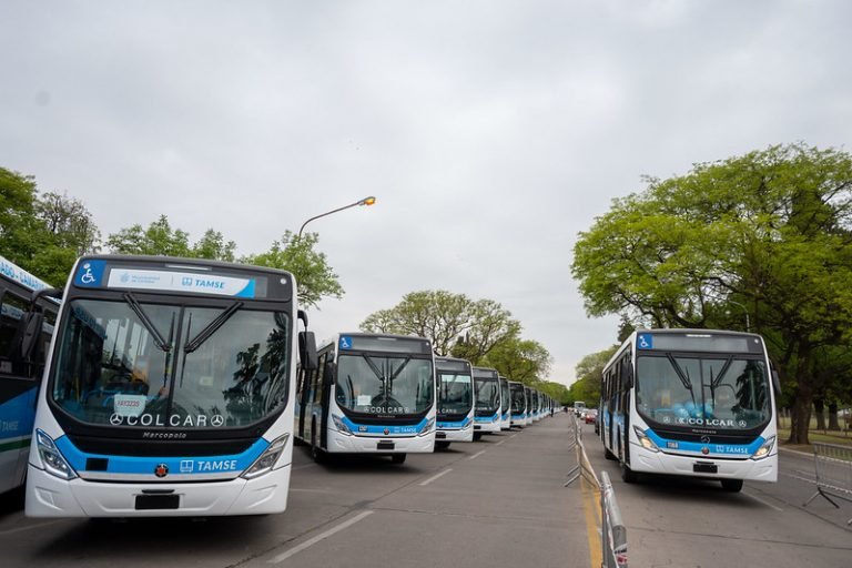 Córdoba: TAMSE incorporó nuevas unidades en tres líneas » Revista ...